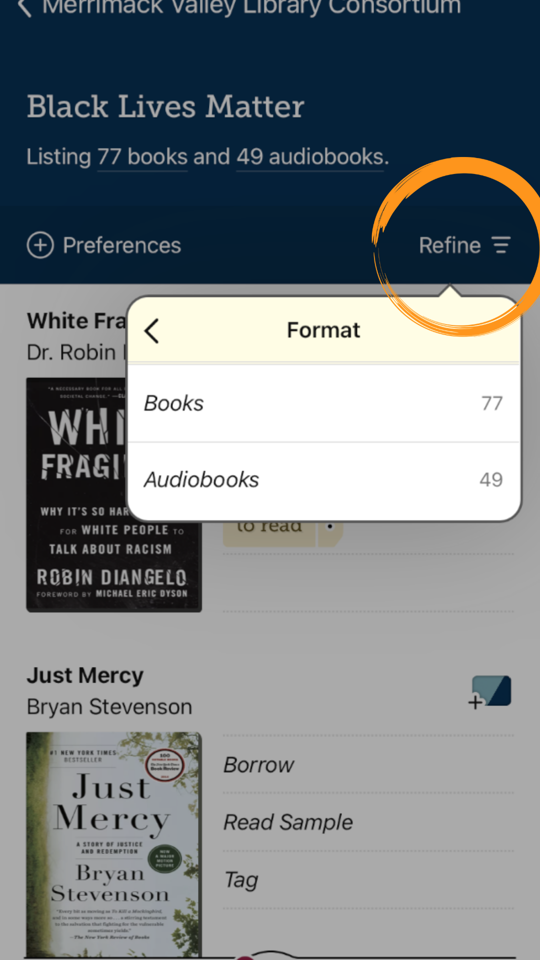 Become a Pro at Using Libby! – Haverhill Public Library